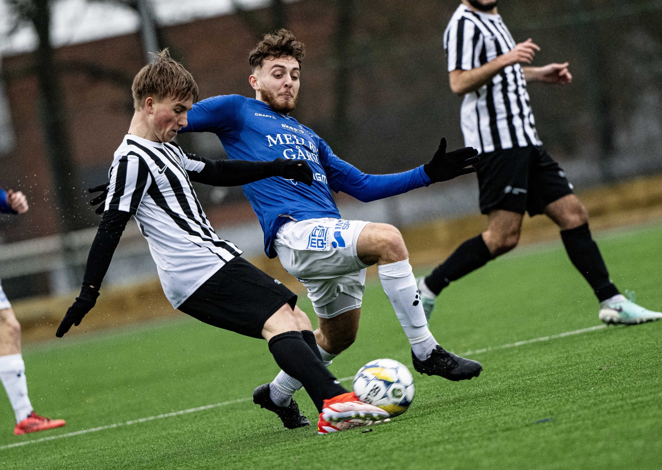 Inför Trelleborgs FF - Falkenbergs FF - Trelleborgs FF