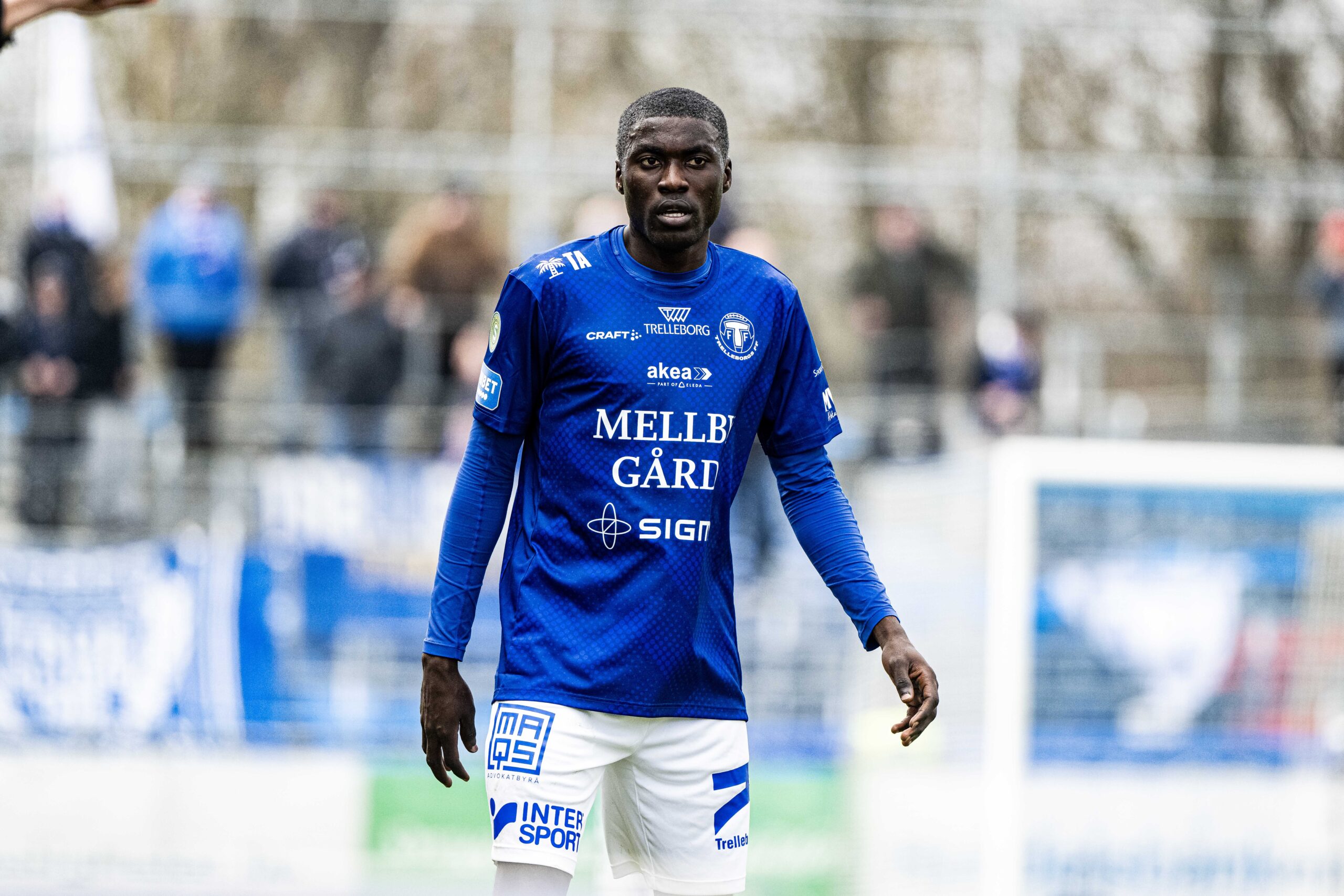 Inför Umeå FC - Trelleborgs FF - Trelleborgs FF